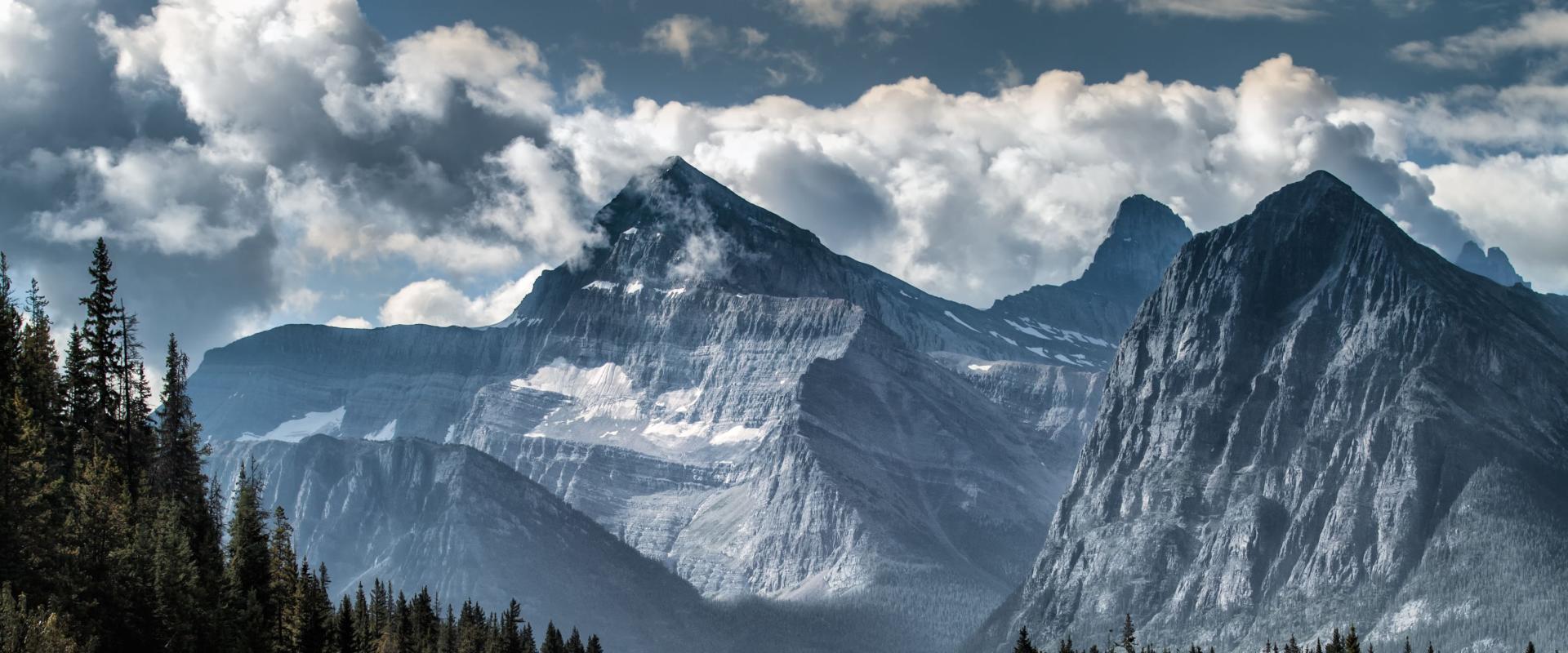 Mark Devine | Watt Carmichael Inc.